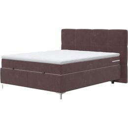 Boxbett COTTA "Kimy inkl. Bettkasten", braun, B:205cm L:211cm, 94% POLYESTER (PES);6%POLYAMID (PA), Komplettbetten, erhältlich in den Breiten 160x200cm & 180x200cm