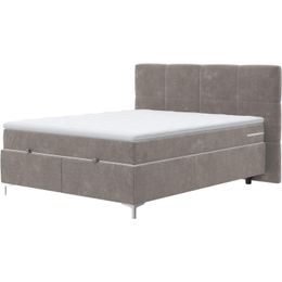 Boxbett COTTA "Kimy inkl. Bettkasten", elephant, B:205cm L:211cm, 94% POLYESTER (PES);6%POLYAMID (PA), Komplettbetten, erhältlich in den Breiten 160x200cm & 180x200cm