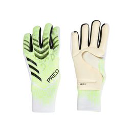 adidas Performance Sporthandschuhe 'Predator GL Pro Promo' Herren Gr&ouml;&szlig;e XL/XXL creme / gr&uuml;n / schwarz / wei&szlig;
