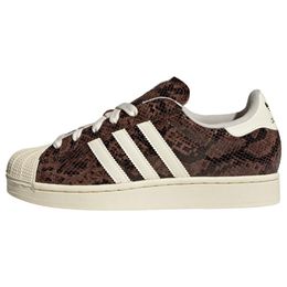 adidas originals Sneakers 'Superstar II' male Brown size 7