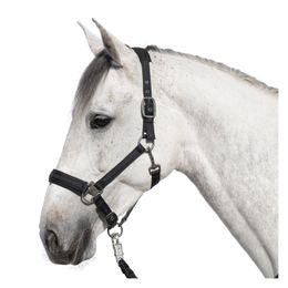 Cheval de Luxe Halfter Lyon schwarz WB