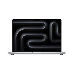 Apple MacBook Pro 16 (Liquid Retina XDR Display) M4 Max (16-Core CPU, 40-Core GPU) 48 GB RAM 1 TB SSD [Late 2024] silber