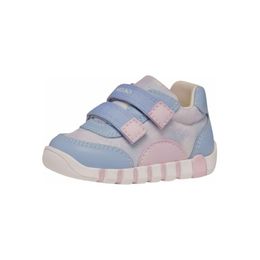 Geox Halbschuhe in Rosa/Hellblau | Gr.: 25