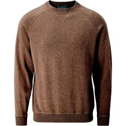 Alan Paine Pullover Saddington Cocoa (Gr&ouml;&szlig;e: 50)