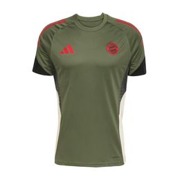 adidas Performance Performance Shirt male Green size XS