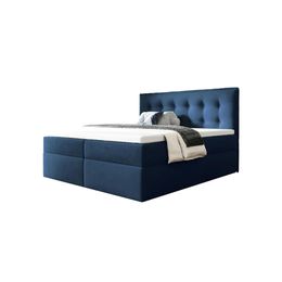 H&ouml;ffner Boxbett mit Bettkasten Focus &brvbar; blau &brvbar; Ma&szlig;e (cm): B: 140 H: 110 &raquo; H&ouml;ffner