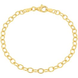 Amor Charm-Armband »2038572, 2038574« gelbgoldfarben 19 cm Geschmackvolle Armkette von Amor für Frauen