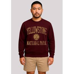 Sweatshirt F4NT4STIC "US National Parks Yellowstone Wyoming", Herren, Gr. 3XL, braun (maroon), Obermaterial: 80% Baumwolle, 20% Polyester, regular fit, Rundhals, ohne B&uuml;ndchen, Sweatshirts Sweatshirt, Premium Qualit&auml;t