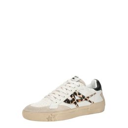 Ash Sneaker 'MOONLIGHT01' Damen Größe 39 beige / cappuccino / schwarz / weiß