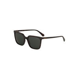 Polaroid Sonnenbrille Herren Gr&ouml;&szlig;e 55 braun / dunkelbraun