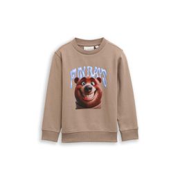 Tom Tailor Jungen Sweatshirt mit Print, braun, Uni, Gr. 92/98