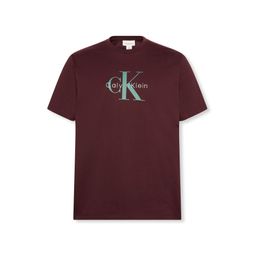 Calvin Klein Jeans T-Shirt 'Hero' Herren Gr&ouml;&szlig;e L schoko / mint / pastellgr&uuml;n