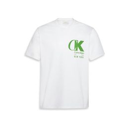 Calvin Klein T-Shirt '20S' Herren Gr&ouml;&szlig;e L gr&uuml;n / wei&szlig;