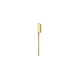 Hansgrohe Handbrause Axor One DN 15, 2jet, brushed brass (45720950)