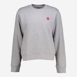 Graues Sweatshirt mit Logo