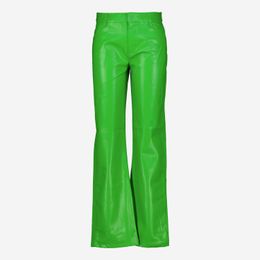 Grüne Hose aus Kunstleder