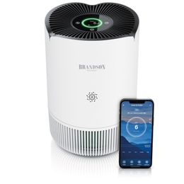 Brandson Luftreiniger HEPA Aktivkohlefilter, Smart Home App, Air Purifier 158 m&sup3;/h, Allergiker geeignet, leise, 45 m&sup2;