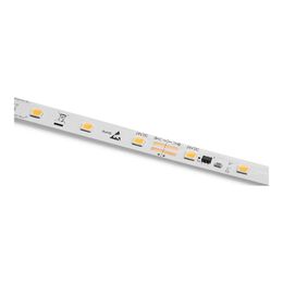 Barthelme LED-Stripe 5m 24VDC 3000K 50413333)