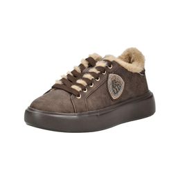 Blauer.USA Sneaker Damen Gr&ouml;&szlig;e 40 dunkelbraun