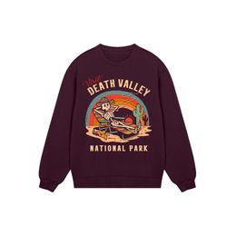 F4NT4STIC Sweatshirt 'US National Parks Visit Death Valley' male Brown size XS