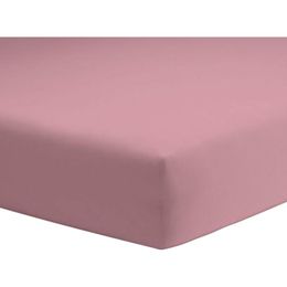 Schlafgut Spannbettlaken »Mako-Jersey aus 100% Baumwolle, Bettlaken« für Matratzen bis 20 cm Höhe, in 90x200, 140x200 oder 180x200 cm puder...