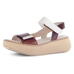 Gabor Sandalette, Plateau, Keil, Riemchensandale mit Best Fitting-Ausstattung camelfarben kombiniert 35 35 Sandalette mit 2 Klettverschl&uuml;ssen f&uuml;r...