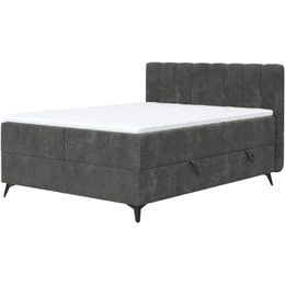 Boxbett COTTA "Vicky inkl. Bettkasten", coal, B:165cm L:210cm, 92% POLYESTER (PES);8% POLYAMID (PA), Komplettbetten, erhältlich in den Breiten 160x200cm & 180x200cm