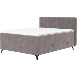 Boxbett COTTA "Vicky inkl. Bettkasten", grau, B:185cm L:210cm, 94% POLYESTER (PES);6%POLYAMID (PA), Komplettbetten, erhältlich in den Breiten 160x200cm & 180x200cm