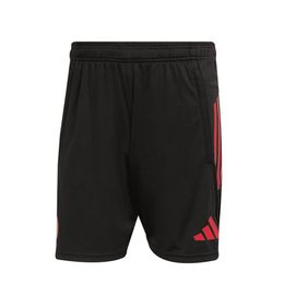 adidas Performance Workout Pants 'UCL Teamline' male Black size XS