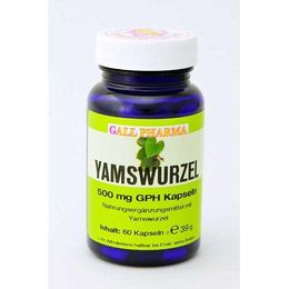 Hecht-Pharma Yamswurzel 500 mg Gph Kapseln 180 St