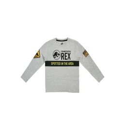 Jurassic World Langarmshirt Longsleeve in Grau | Gr.: 164