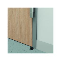 ASSA ABLOY Abdeckprofil FSA8800, S18, schwC35mat.el, 1980mm (F-8862-18)