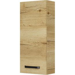 SAPHIR Hängeschrank »Serie 4010 Wand-Badschrank 30 cm breit mit 1 Tür, 2 Glas-Einlegeböden« Badezimmer-Hängeschrank inkl. Türdämpfer, Wandschrank...