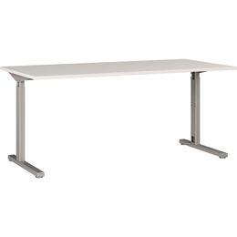 Germania Schreibtisch »Prescott« Breite 160 cm Lichtgrau/Silber + Silber + Lichtgrau