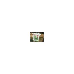 Floraworld Rosenhaubenvlies 5er Set 0,8x0,75 m 17g (010877)