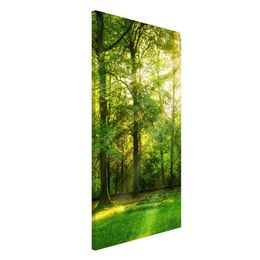 Magnettafel Spaziergang im Wald