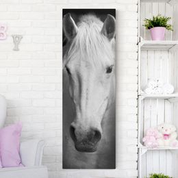 Leinwandbild Kinderzimmer Dream of a Horse