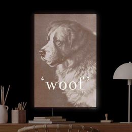 LED-Wechselbild Anonymous Dog
