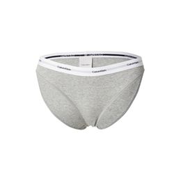 Calvin Klein Underwear Panty female Grey size XL