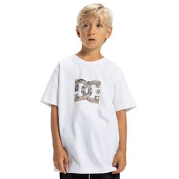 T-Shirt DC Shoes "DC Star Filled", Jungen, Gr. 14(155-164cm), wei&szlig;, 75% Baumwolle, 25% Baumwolle, Shirts T-Shirt