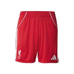 adidas Performance Workout Pants 'FC Liverpool FC 25/26' male Red size XXXL