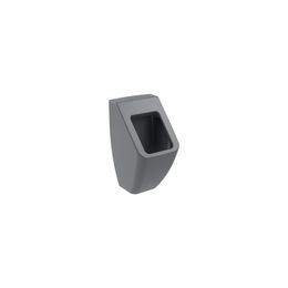 Villeroy & Boch V&B Absaug-Urinal VENTICELLO 28,5x54,5x31,5cm, o. Deckelbef., grap C+ ; Villeroy & Boch (5504R0I4)