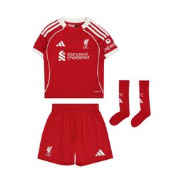 adidas Performance Trainingsanzug 'FC Liverpool 25/26' Jungen Gr&ouml;&szlig;e 92 knallrot / wei&szlig;