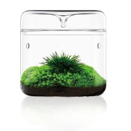 Bioloark Luji Glass Cup MY-120 Glasterrarium