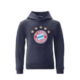 FC Bayern M&uuml;nchen Fc Bayern M&uuml;nchen Sweatshirt 'Essential' boy Blue size 128