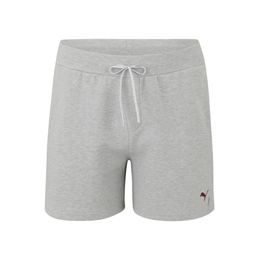 Puma Sporshorts 'Cloudspun' Herren Gr&ouml;&szlig;e XL grau