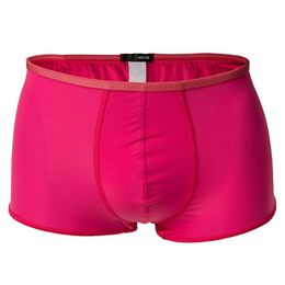 HOM Boxershorts 'Plumes' Herren Größe M himbeer