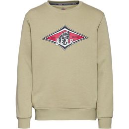 Bear Sweatshirt boy Beige size 176