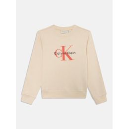 Calvin Klein Pullover Jungen Gr&ouml;&szlig;e 164 offwhite