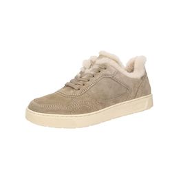 Sioux Sneaker Maites sneak 007-LF in beige | Gr.: 38
